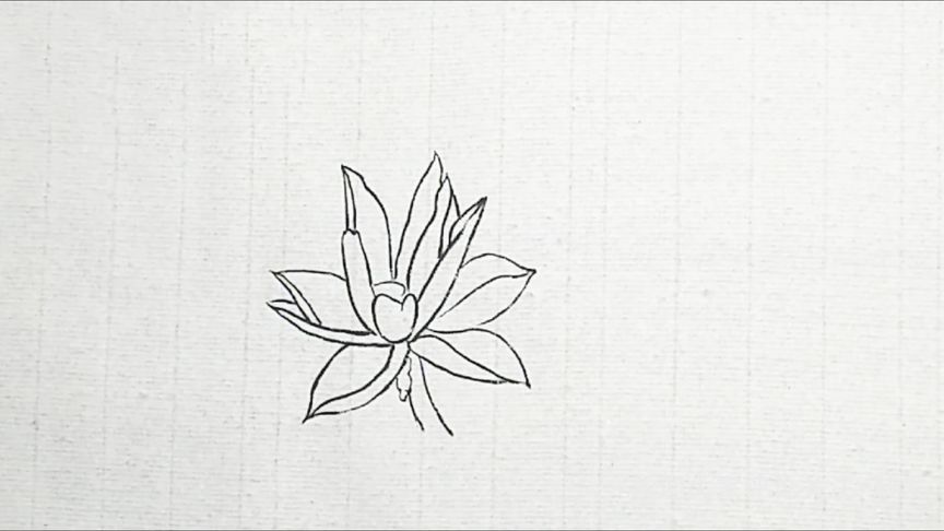 工笔白描入门教程,荷花的画法,适合初学者