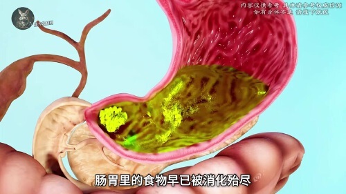 长期不吃早餐身体竟然会发生这些可怕变化!知识长期不吃早餐