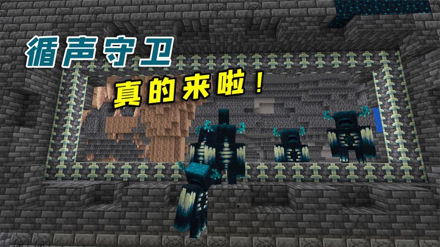 我的世界:循声守卫来啦!你还敢一个人去挖矿吗?