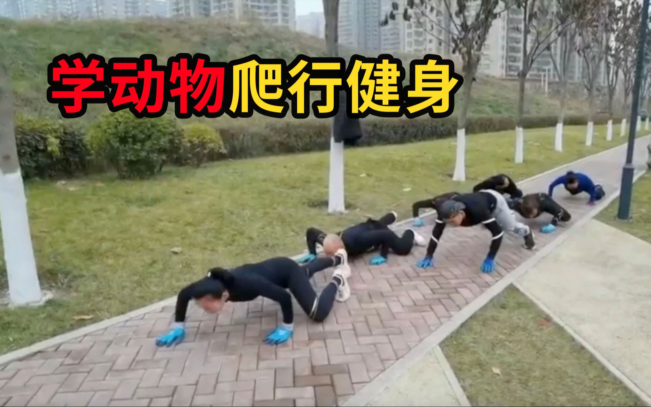【女子公园内学习动物爬行健身 | 吸引数十名粉丝加入】