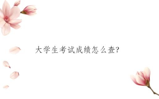 大学生考试成绩怎么查
