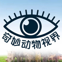 奇妙动物八戒