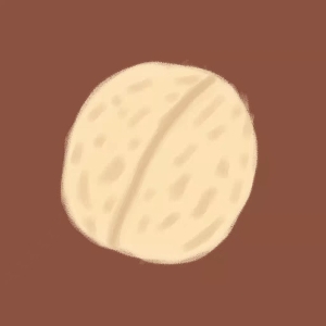 圆圆的胡桃 