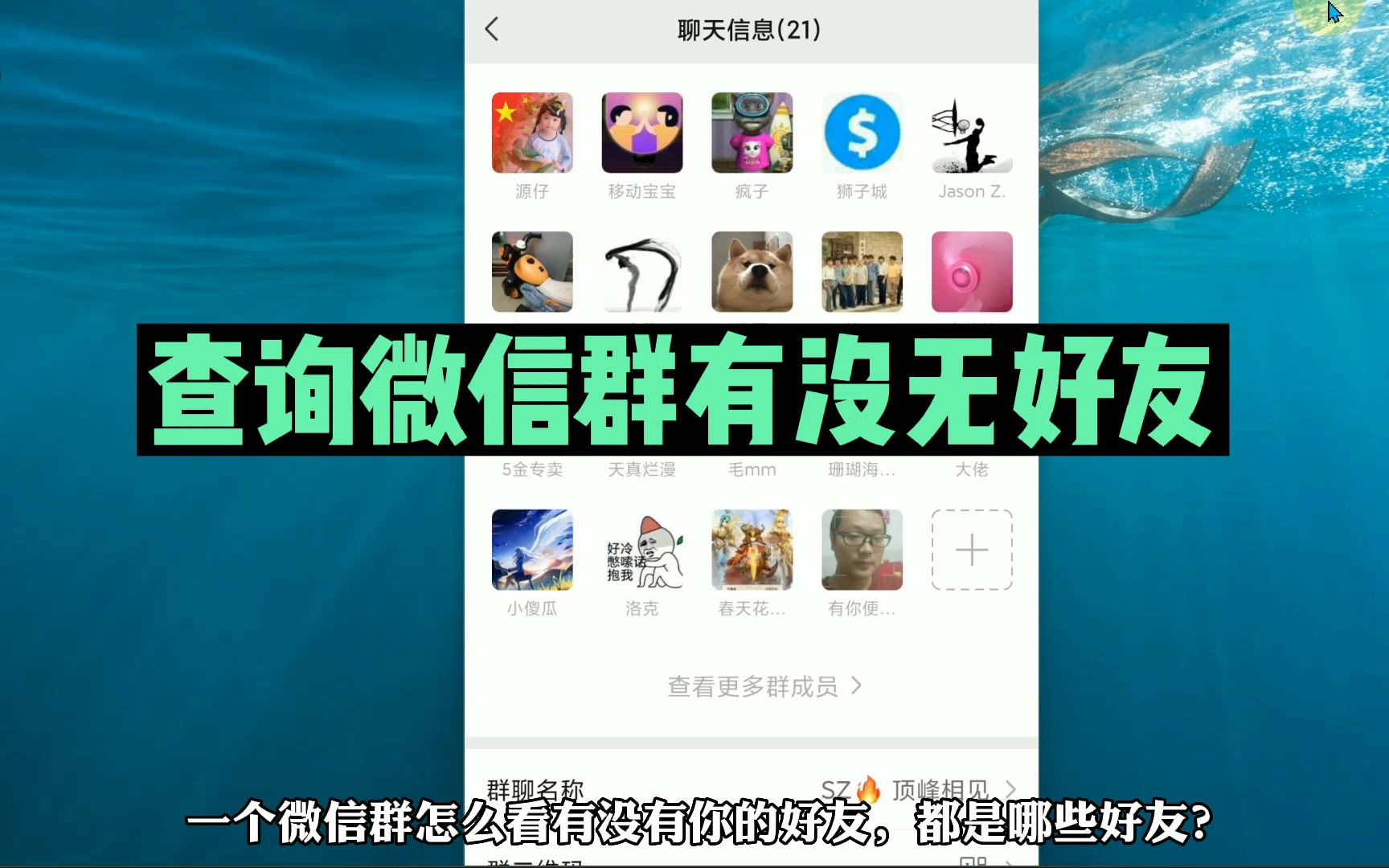 怎样查找微信群里有无自己的好友