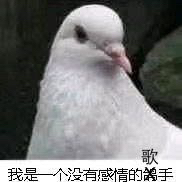 见习心理诈骗师LE 