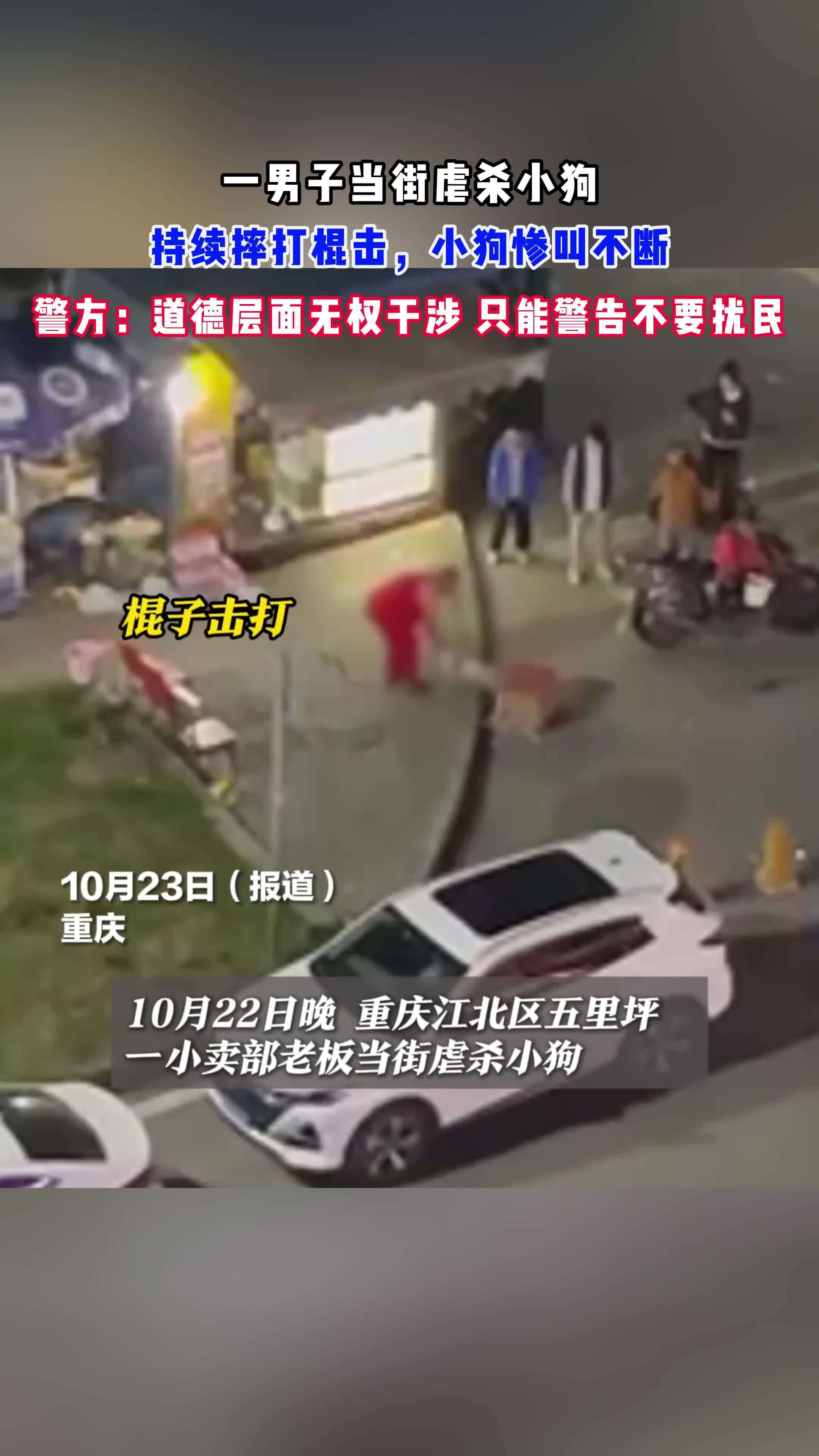 一男子当街虐杀小狗,持续摔打棍击,小狗惨叫不断