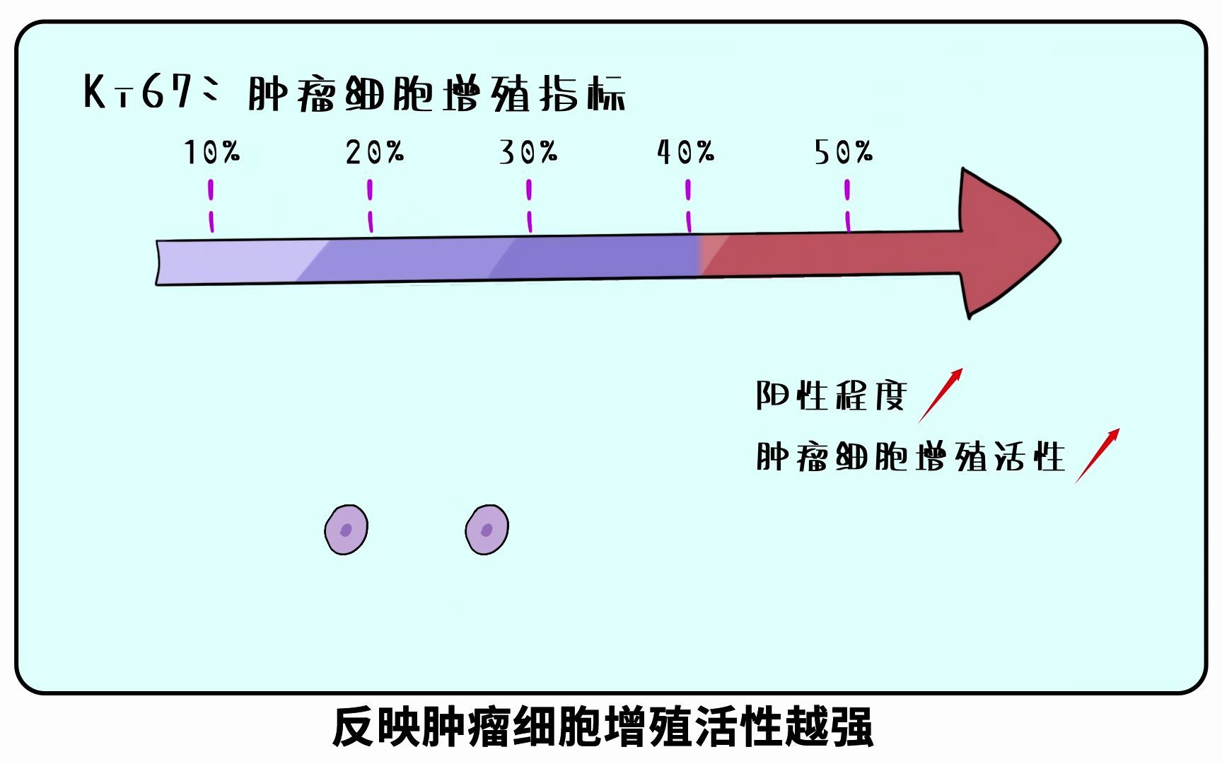 小U第十七课:其他乳腺癌预后指标