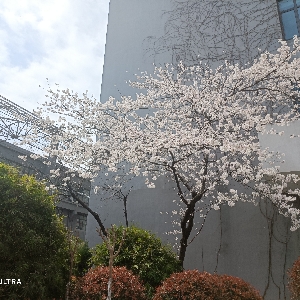 阿静带你学税法 