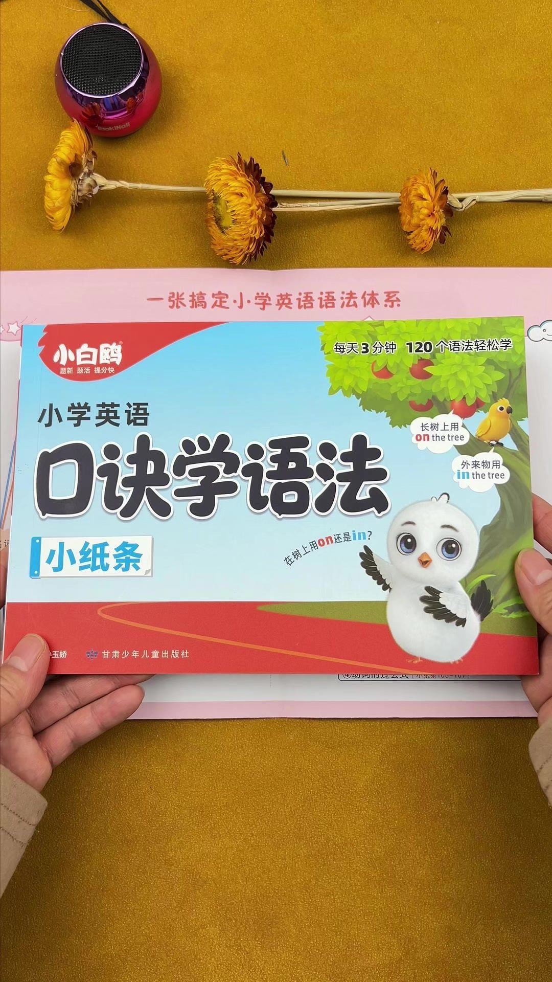 别再死记硬背!万唯用口诀讲透冠词用法,小纸条揣兜里随时记,小学英语...