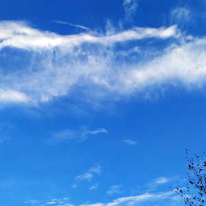 完成任务后猛睡 