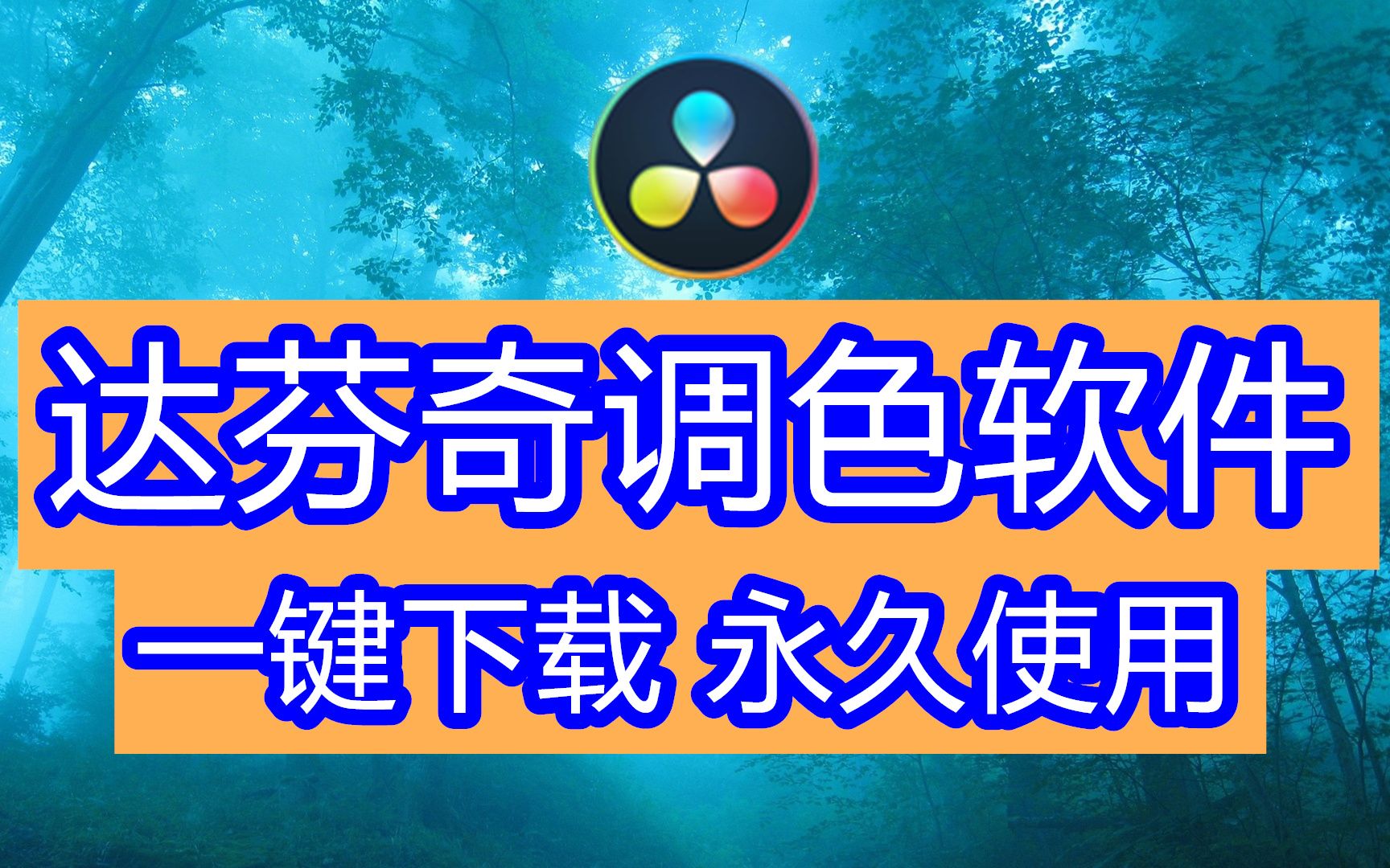 达芬奇视频编辑软件下载,达芬奇软件怎么减少时间轴分辨率,davinci...