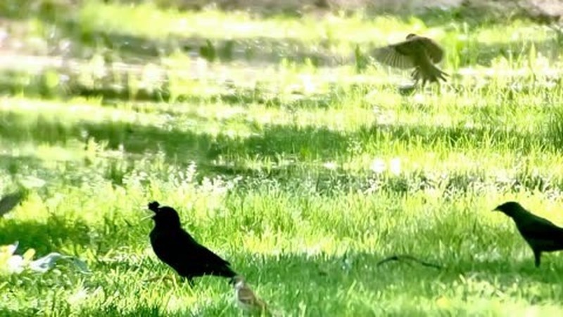 银川影视制作公司,宣传片、纪录片、广告片、微电影策划拍摄制作