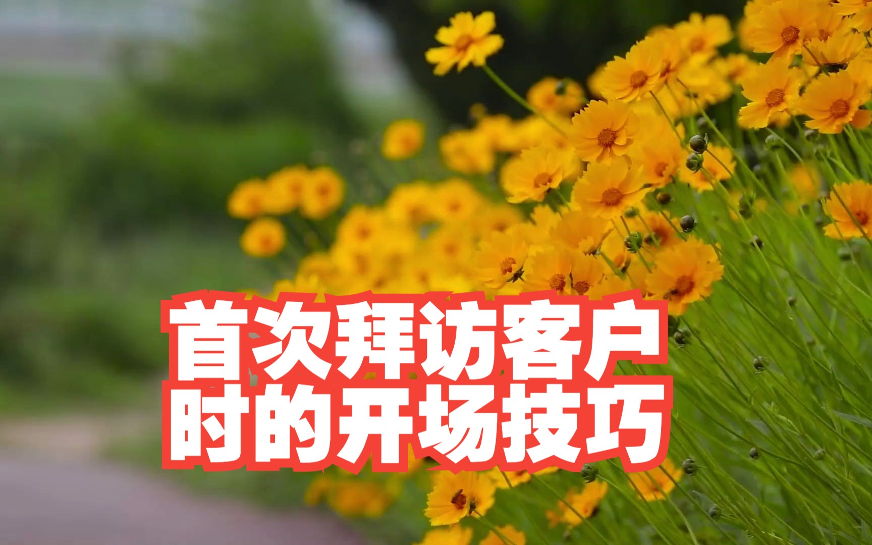 首次拜访客户时的开场技巧