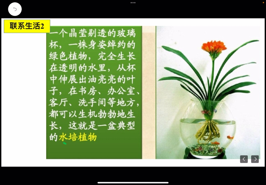 细胞呼吸实验及与生活的联系