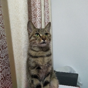 25的日常 