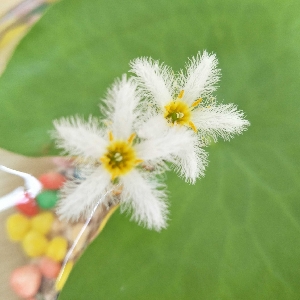 郑老师数学课堂 