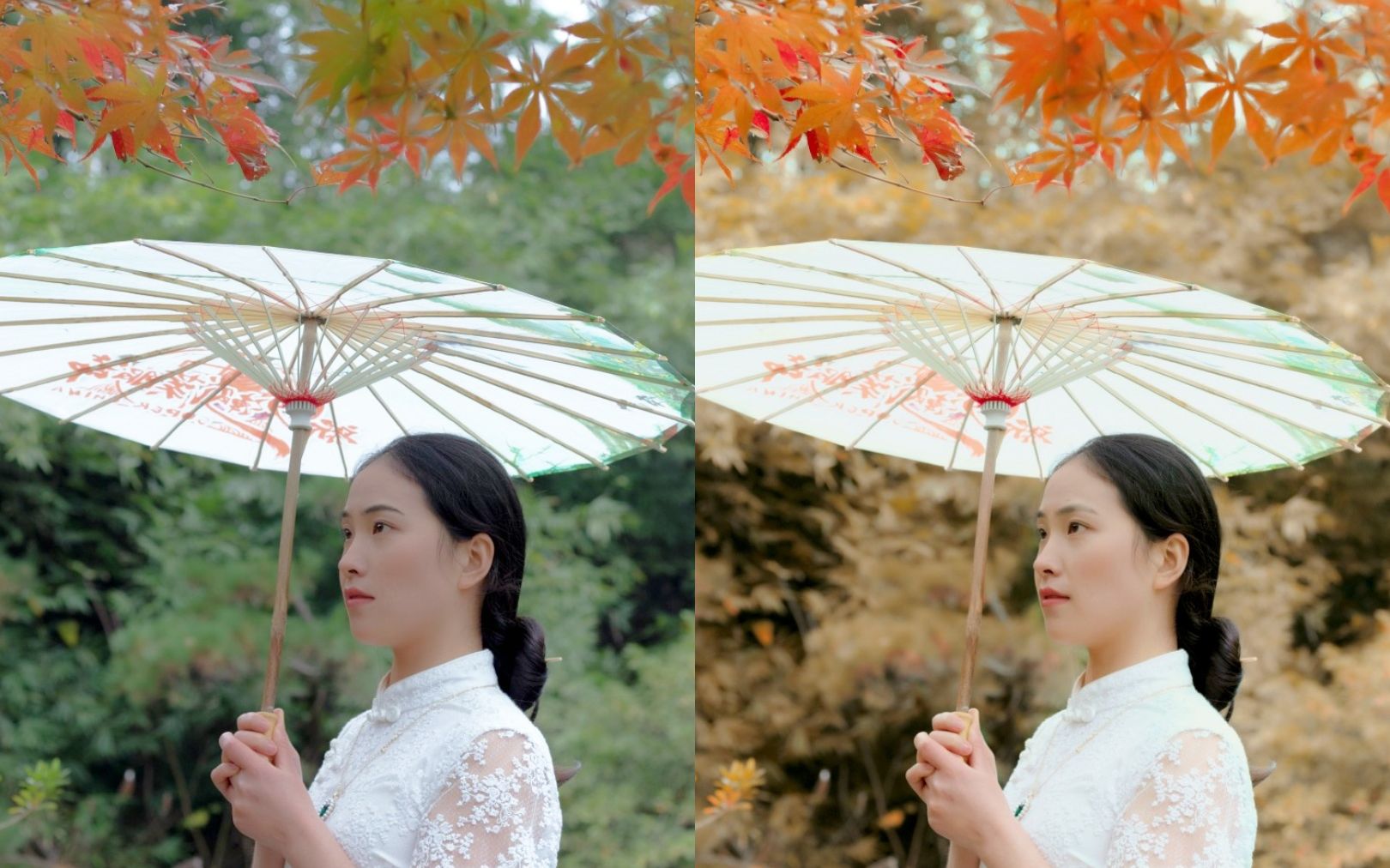 如何把绿叶调成红叶/黄叶/落叶 | 颜色色相的调整