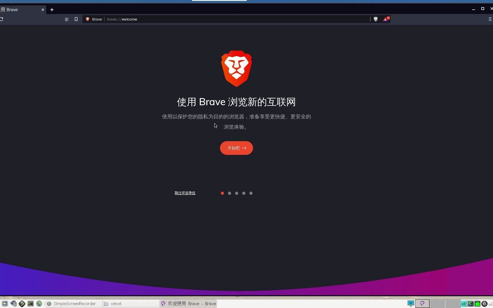 一个当下世界最快的浏览器狮子王浏览器的模式国内怎么没有?它更新...