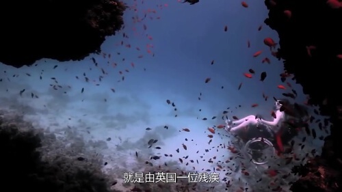 双腿残疾也能潜水?可以在水下移动的轮椅,是如何操作控制的?