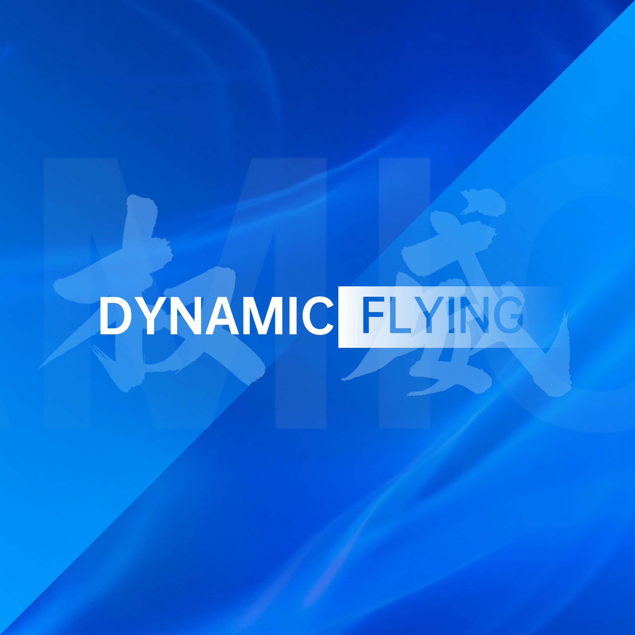 动感飞扬Professional 