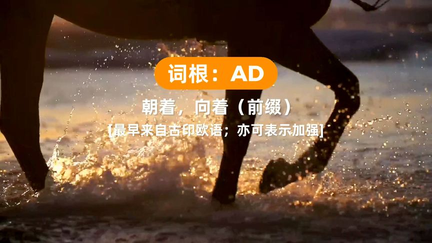 面朝大海,放马南山:一目了然词根串讲(AD构成单词1-7)