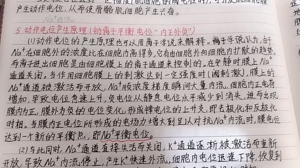 动作电位产生原理?(钠离子内流)/何谓动作电位?简述动作电位的产生...