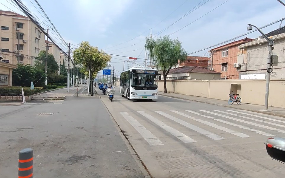 闵行13路小海象新车