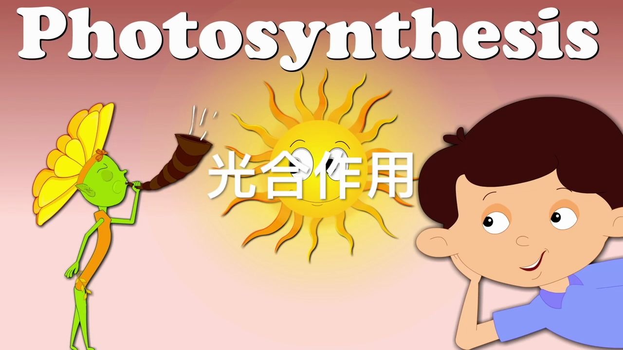【生哥讲生物】光合作用(中文字幕)——初中生物教学视频