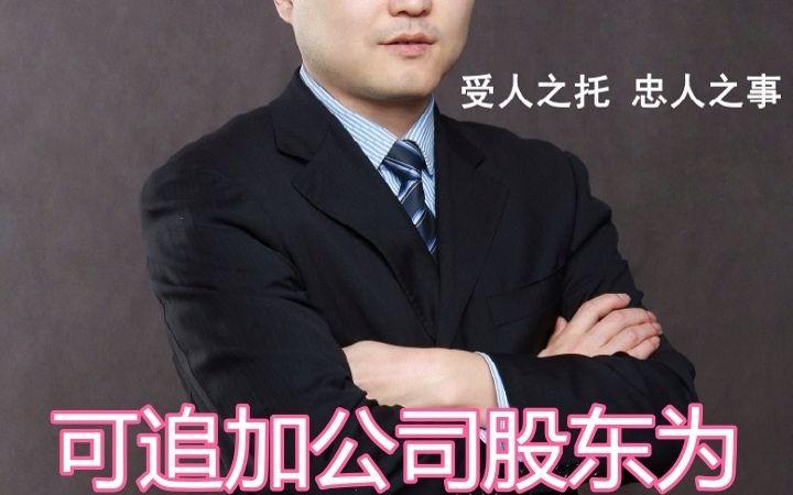 可追加公司股东为被执行人的法定情形