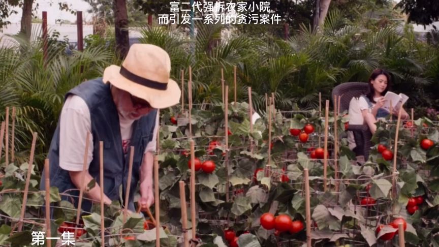 富二代强拆农家小院而引发一系列的贪污案件