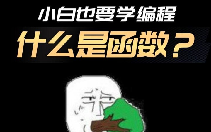 什么是函数?函数在编程中有什么作用?