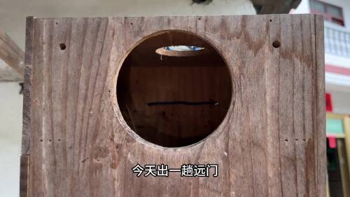 我就拿出来做个记号,它不放心一直盯着我,就差开口说话了
