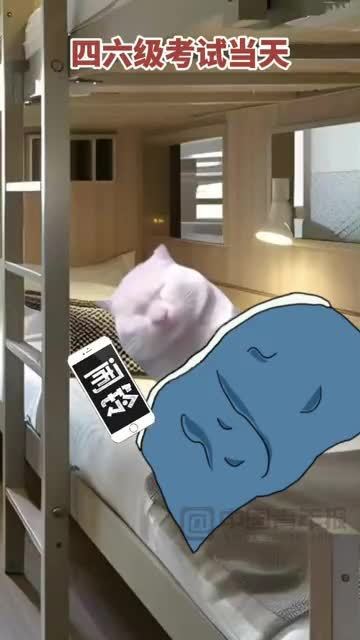 祝考生们取得好成绩,千万不要忘记带这些宝贝哈