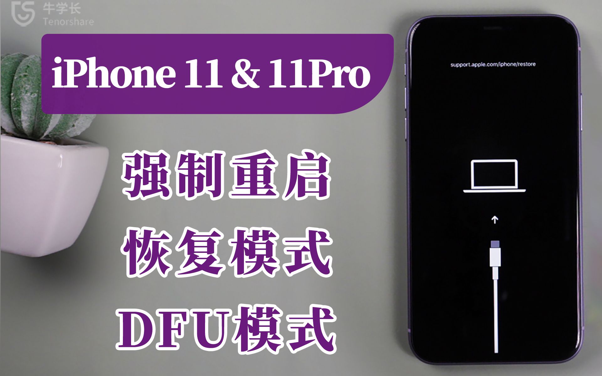 Phone11 & 11Pro用机必备教程:强制重启、恢复模式、DFU模式