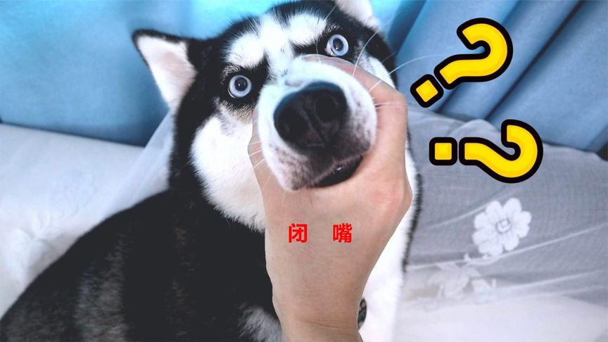 闲鱼:买家要求退货,卖家无奈答应,必有隐情