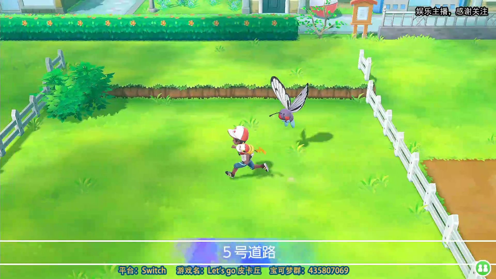 精灵宝可梦Let's go 皮卡丘【通关流程part3】