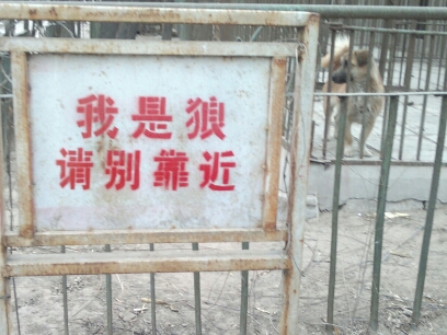 50美分 