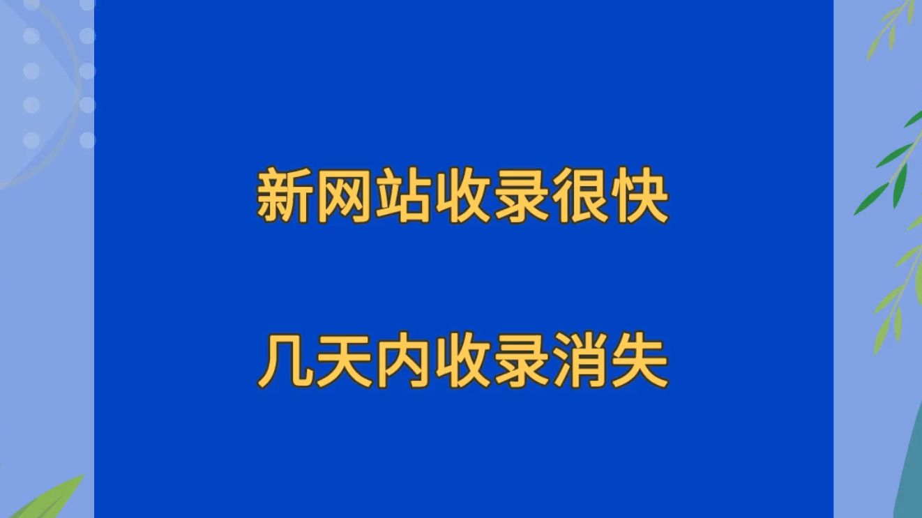 新网站收录很快几天内网站收录消失