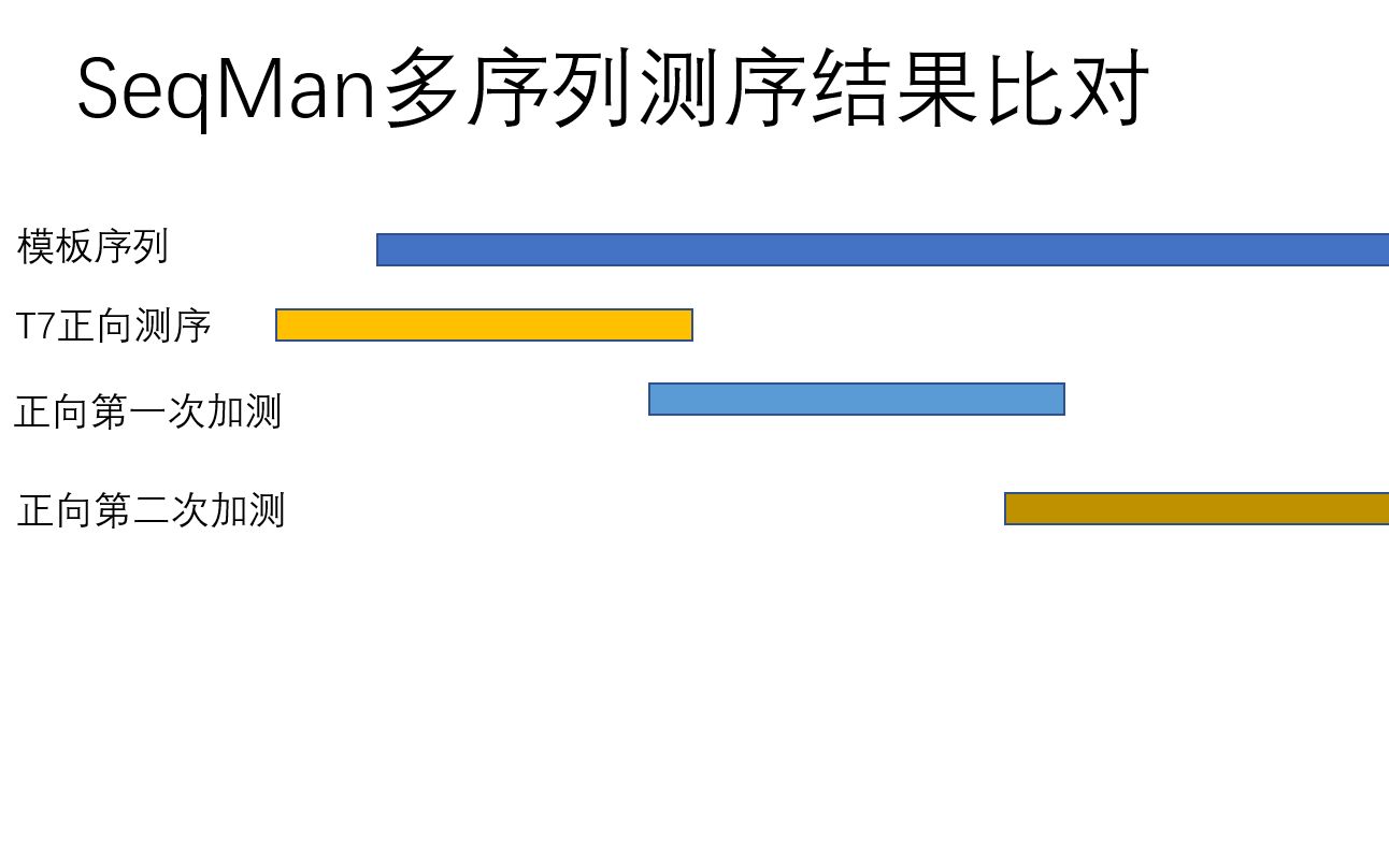 SeqMan多序列测序结果比对