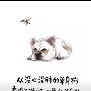 歌海龙谭