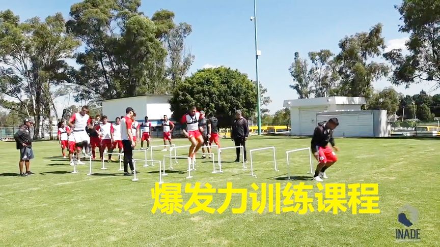 利用跨栏训练爆发力,一共18个栏杆,连续跳跃,不得中断