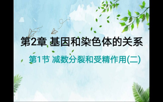必修二2.1减数分裂和受精作用(二)