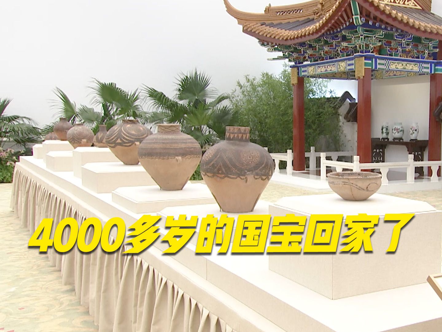 【独家视频】习近平同意大利总统马塔雷拉共同赏鉴境外归还文物