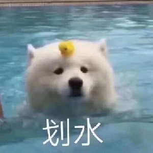 小新捡垃圾 
