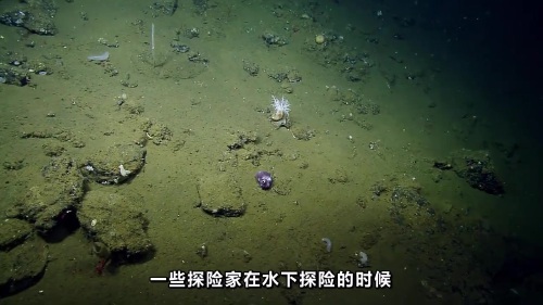 海底深处疑现不明人形生物,巨型"幽灵"背后藏着怎样的秘密与惊奇?