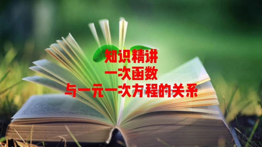 知识精讲——一次函数专题(与一元一次方程的关系)