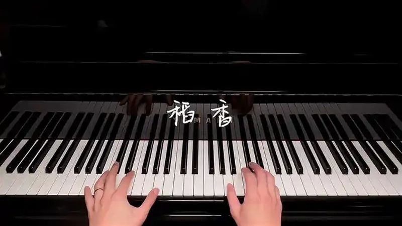 初学者必弹|《稻香》周杰伦