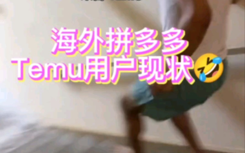 美国拼多多TEMU用户现状