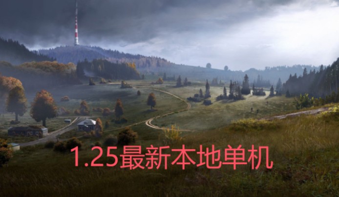 dayz1.25最新单机本地游玩多视觉切换战斗