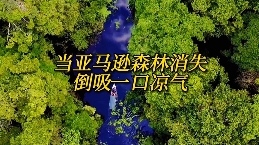 如果亚马逊森林突然消失,将会发生什么?人类还能支撑多久呢?